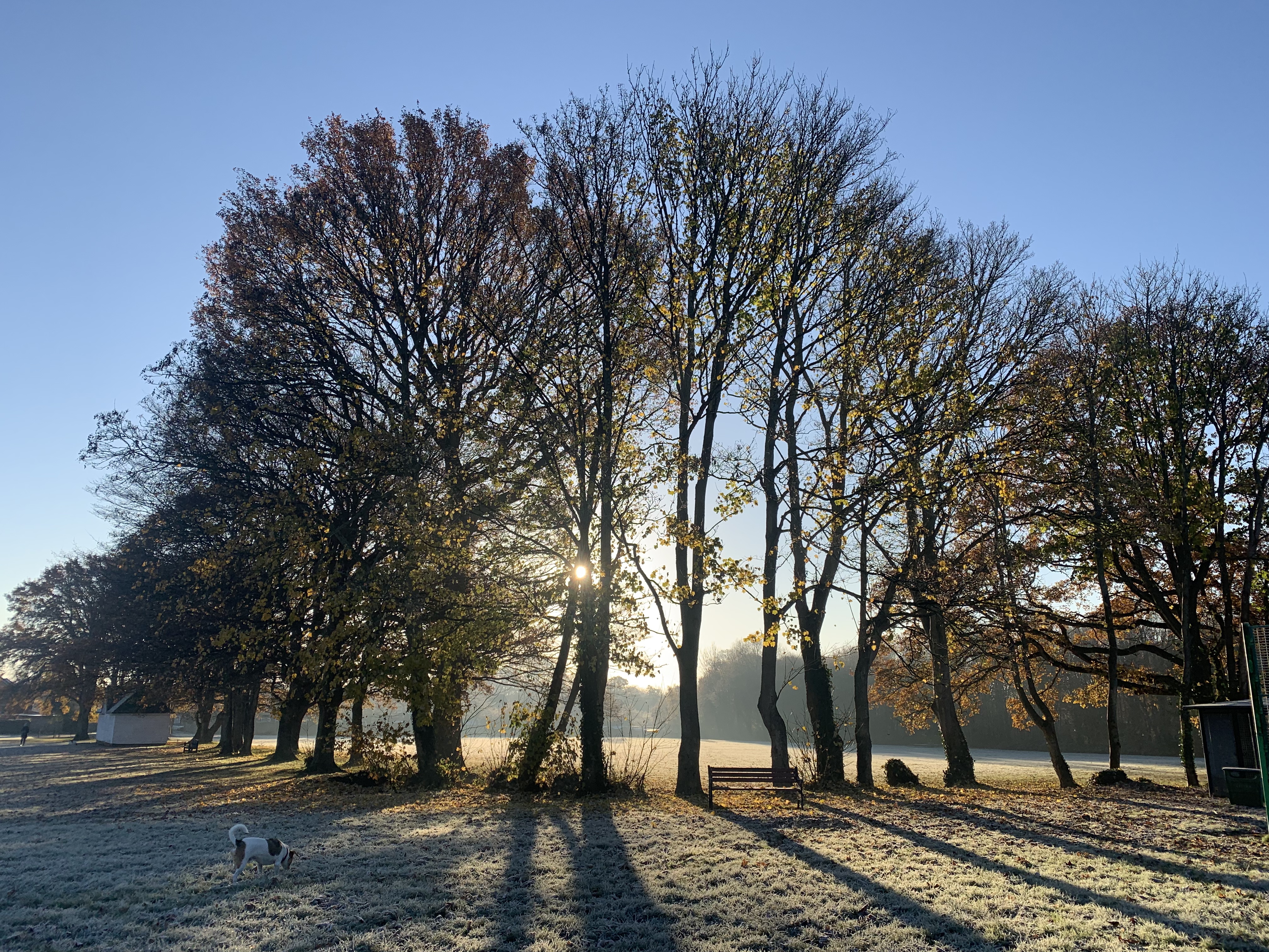 Challenges – Botley Community Land Trust